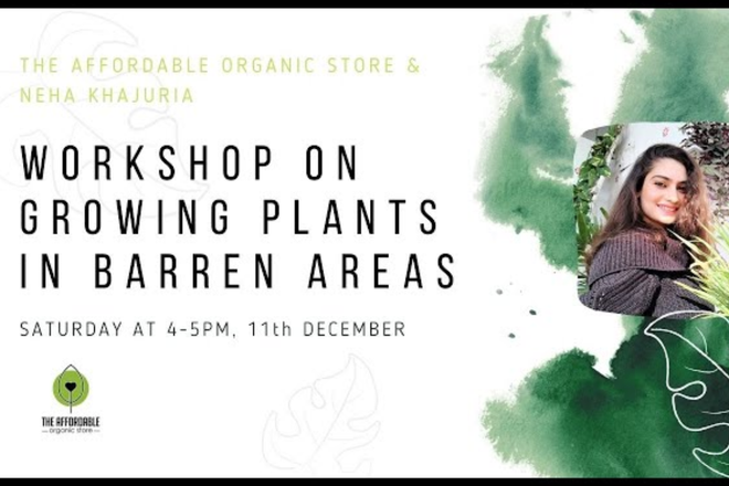Growing Plants in Barren Areas | Sustainable Gardening Workshop – The ...