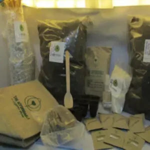 Gardening Kits for just Rs. 29 | The Affordable Organic Store – The ...